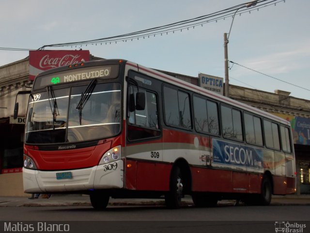 COETC - Cooperativa de Obreros y Empleados del Transporte Coletivo 309 ...